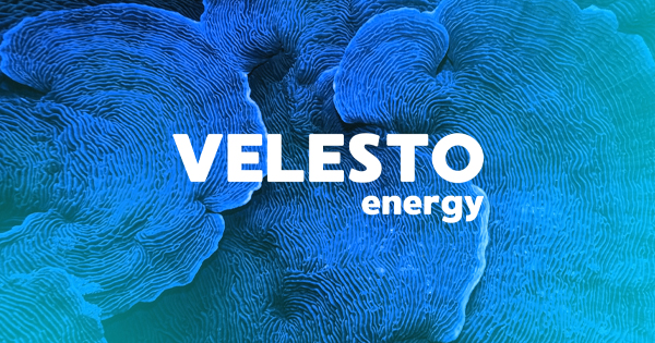 Official Appointment as The Agency of Velesto Energy - Journal | XIMNET